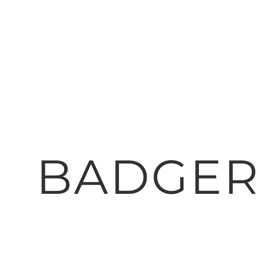 BadBadger InfoSec - Dave Brock